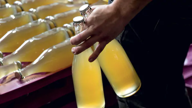 Pét-Nat: O que é e por que está se tornando um vinho tão popular