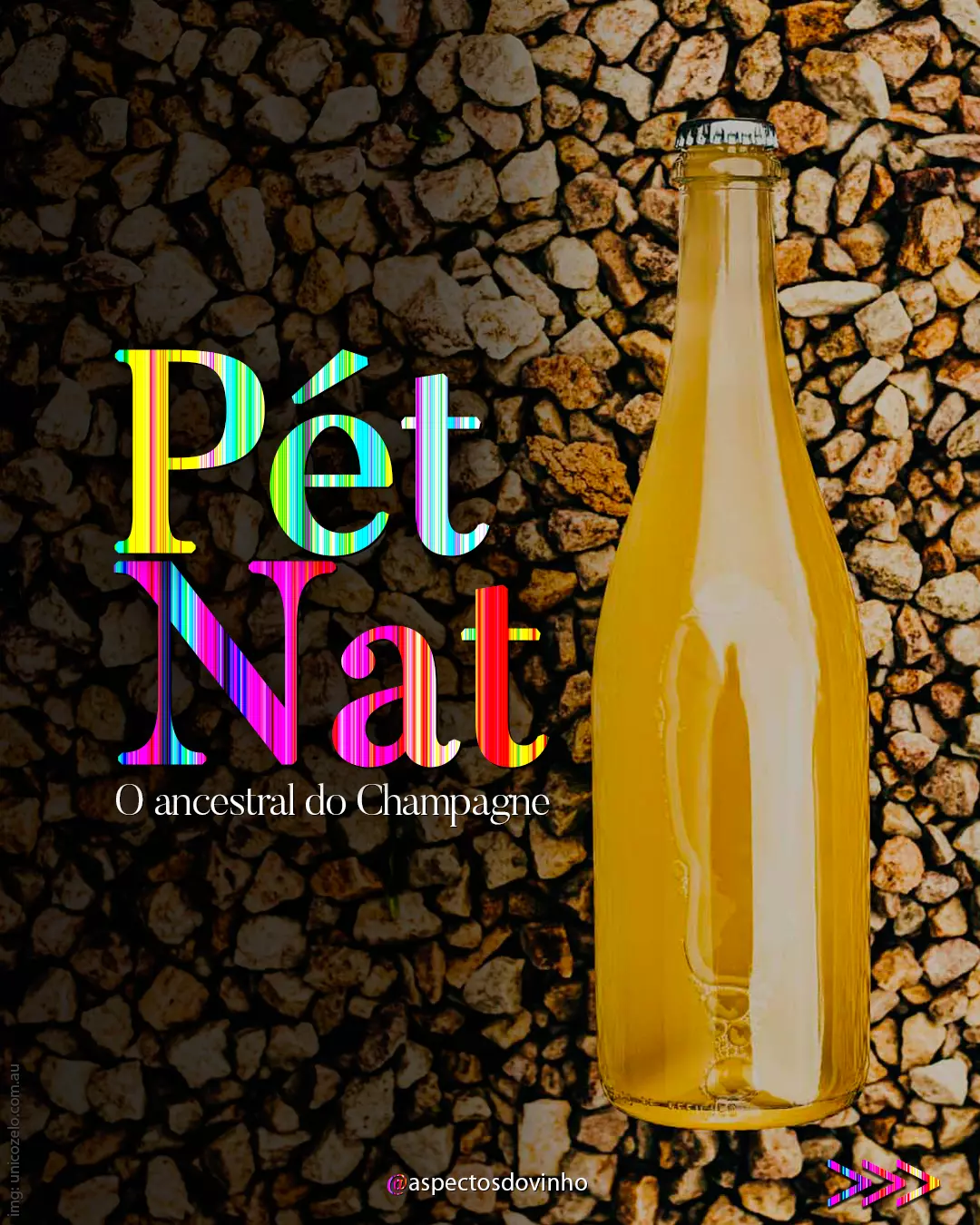Pét-Nat: O que é e por que está se tornando um vinho tão popular